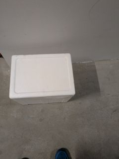 Styrofoam Cooler Box with Lid, Furniture & Home Living, Kitchenware ...