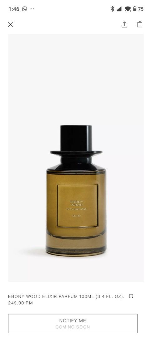 Zara Ebony Wood Elixir Parfum 100ml, Beauty & Personal Care, Fragrance ...