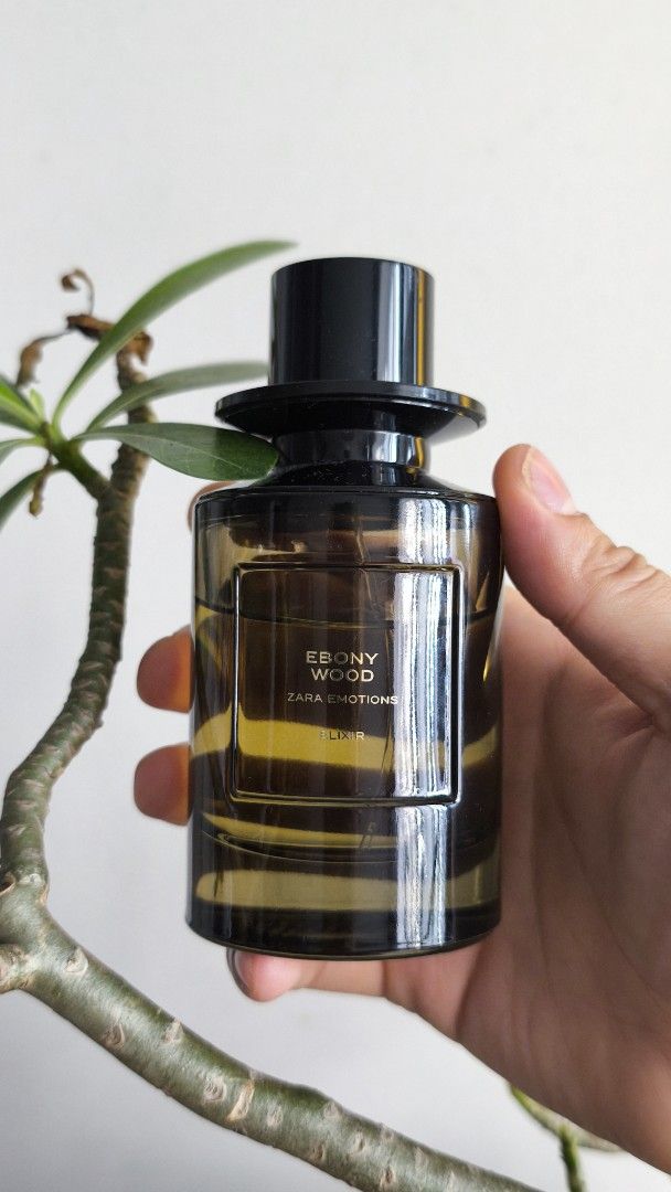 Zara Ebony Wood Elixir Parfum 100ml, Beauty & Personal Care, Fragrance ...