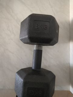 Octagon Shape Dumbbell- 20kg, Sports Equipment, Exercise & Fitness ...