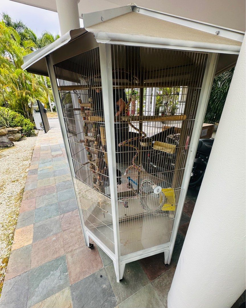 Bird cage with wheels, Pet Supplies, Homes & Other Pet Accessories on ...