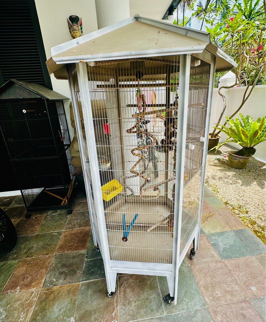 Bird cage with wheels, Pet Supplies, Homes & Other Pet Accessories on ...