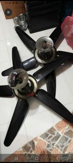 Black Ceiling Fan with Light, Furniture & Home Living, Lighting & Fans ...