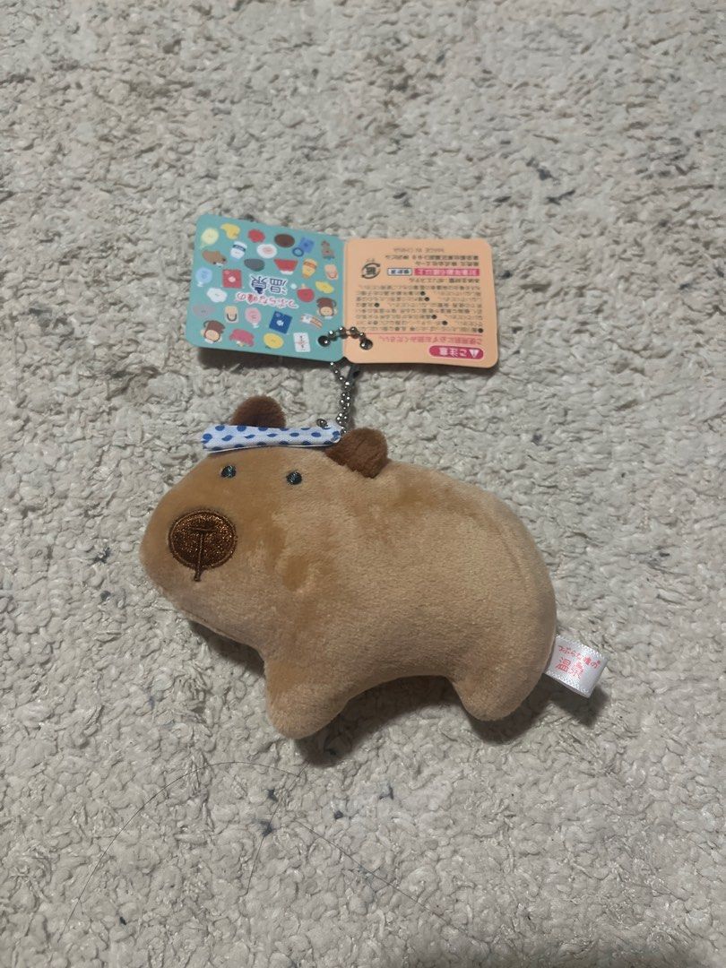 Capybara Plushie with Tag, Hobbies & Toys, Toys & Games on Carousell