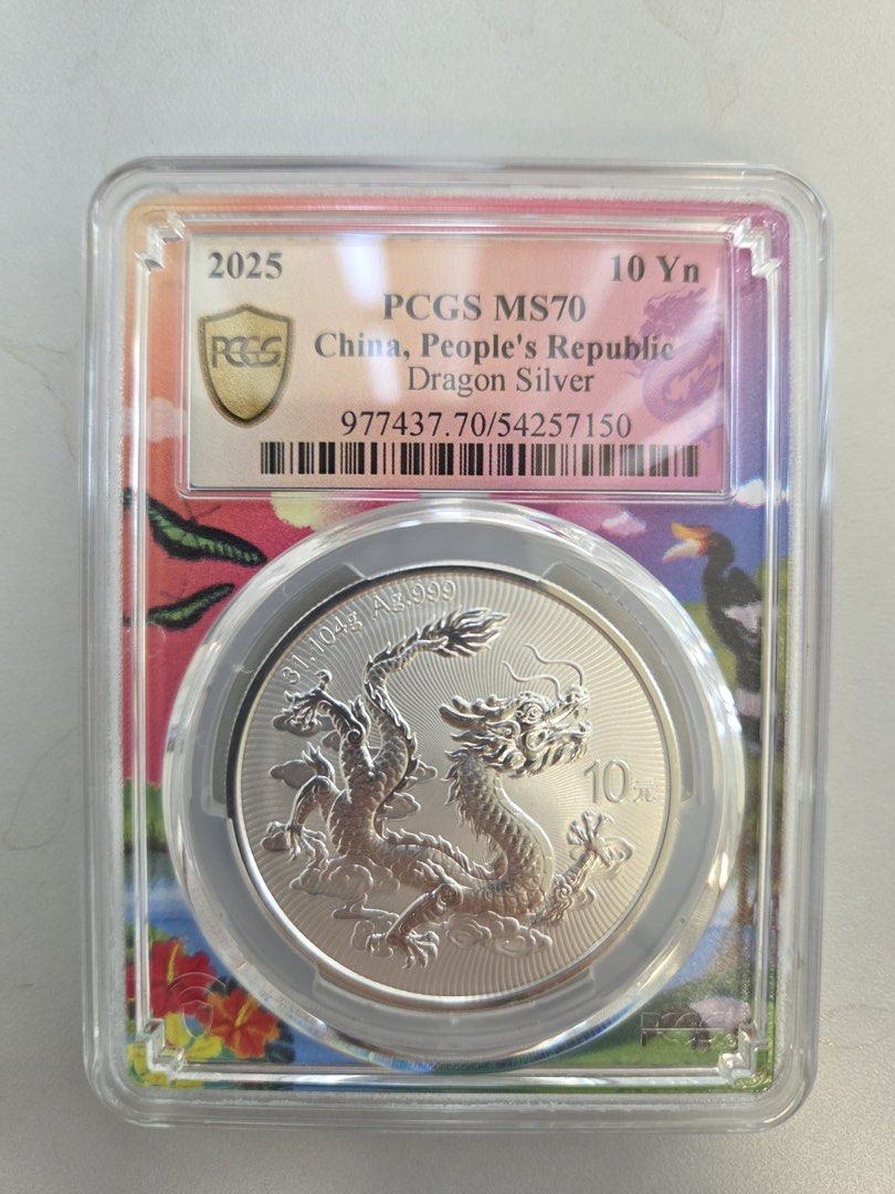 China silver dragon 2025, Hobbies & Toys, Memorabilia & Collectibles ...