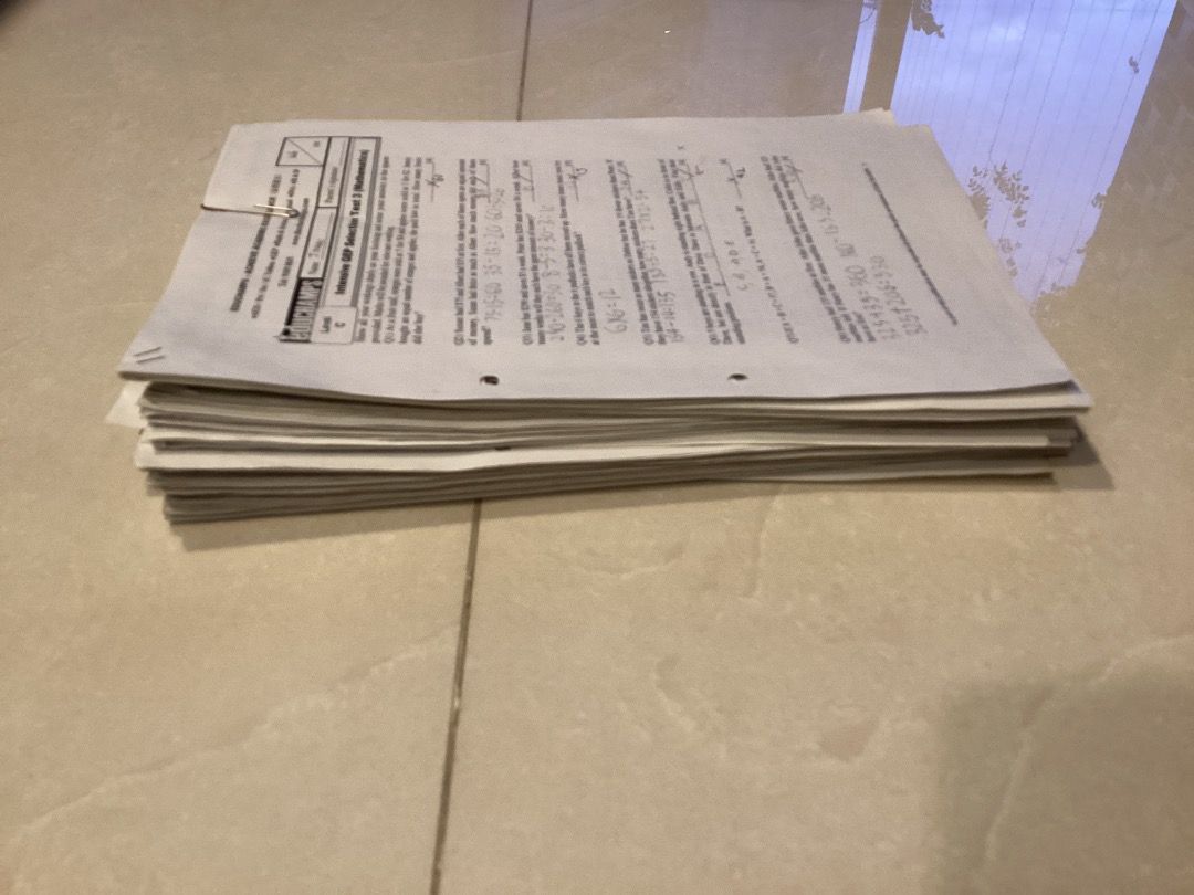 P3 GEP Intensive Educhamps Maths Worksheets, Hobbies & Toys, Books ...