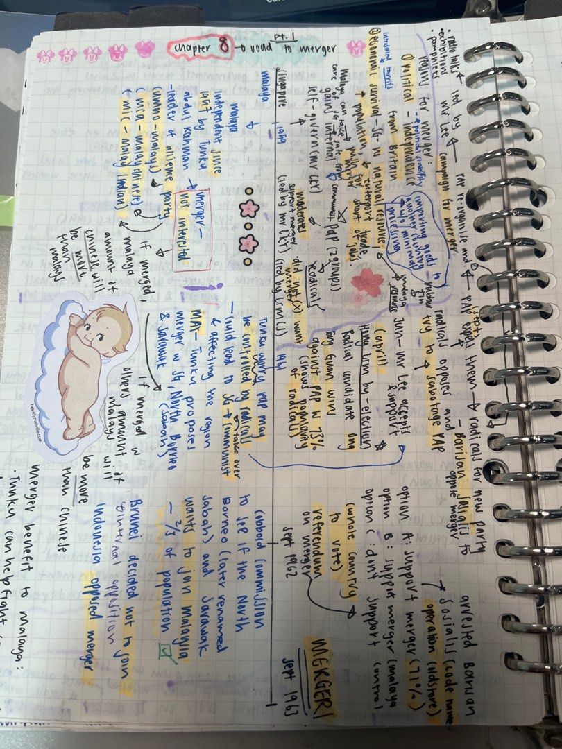 sec 1 and sec 2 lit, geog, history notes, Hobbies & Toys, Books ...