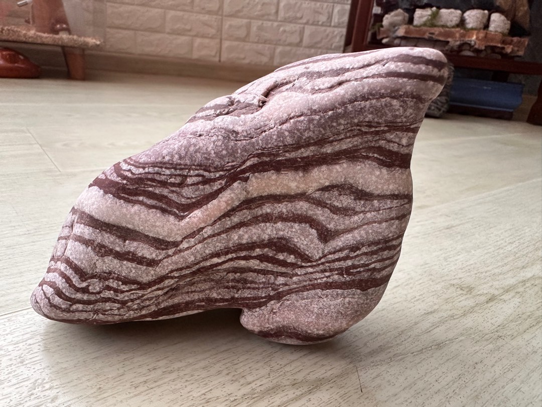 Stripy aquatic rock fish tank aquarium bonsai garden display decor, Pet ...