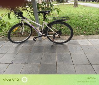 Icolour Mountain Bike with Rack, Sports Equipment, Bicycles & Parts ...