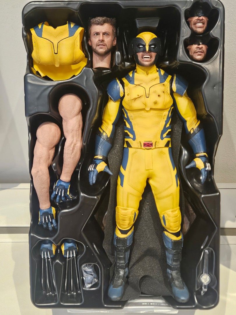 1/6 Hot Toys Deadpool Wolverine Deluxe Version MMS 754, Hobbies & Toys ...