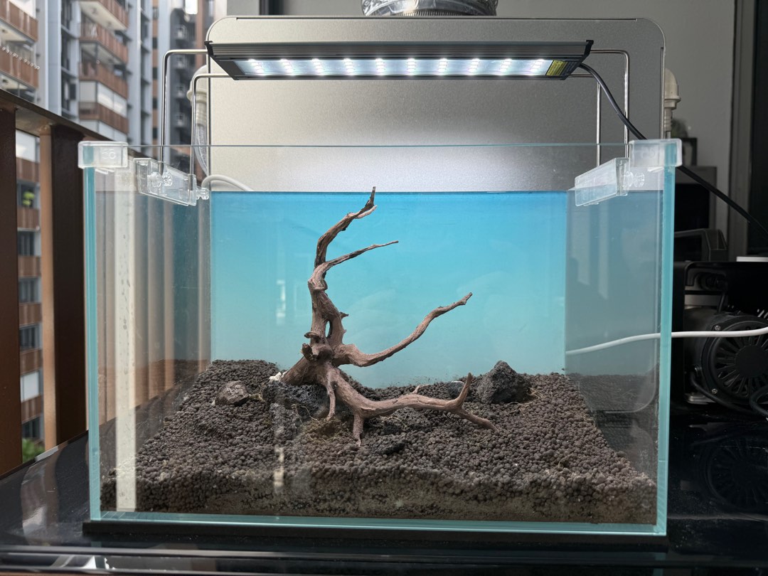 Aquarium Nano Crystal Clear Tank with LED Light, Pet Supplies, Homes ...