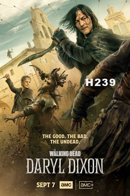 Daryl Dixon The Walking Dead TV Posters (2025), Hobbies & Toys, Art ...