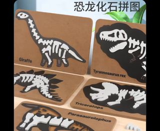 Archaeological excavation toys, dinosaur fossil blind box, male and ...