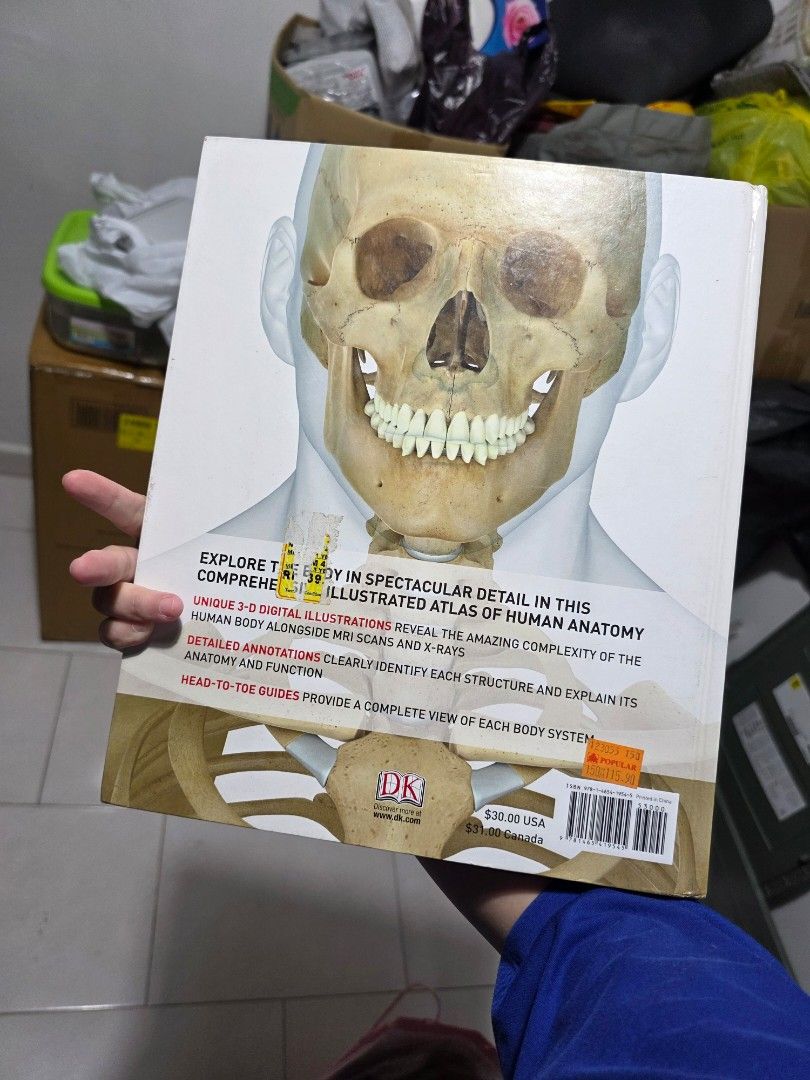 DK Human Anatomy: The Definitive Visual Guide, Hobbies & Toys, Books ...