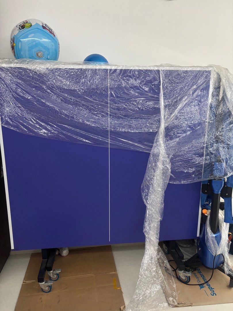 Double Fish Super 5 Table Tennis Table and ball launcher, Sports ...