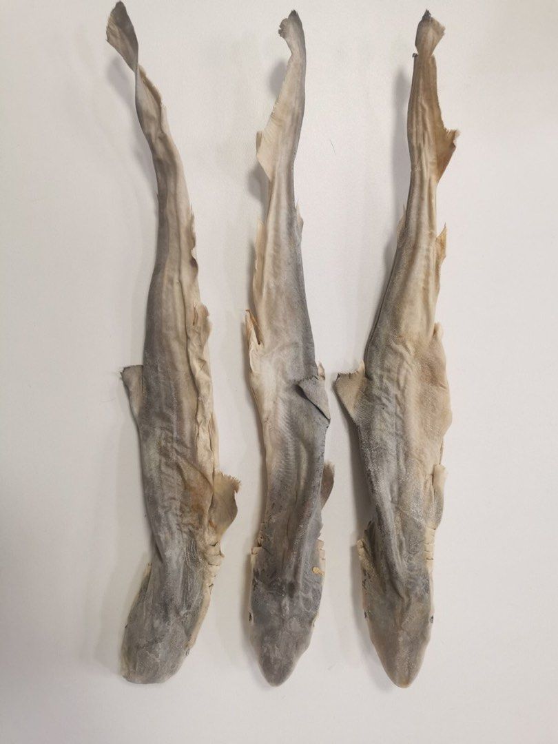 Freeze-dried baby shark for cats and dogs , Pet Supplies, Pet Food on ...