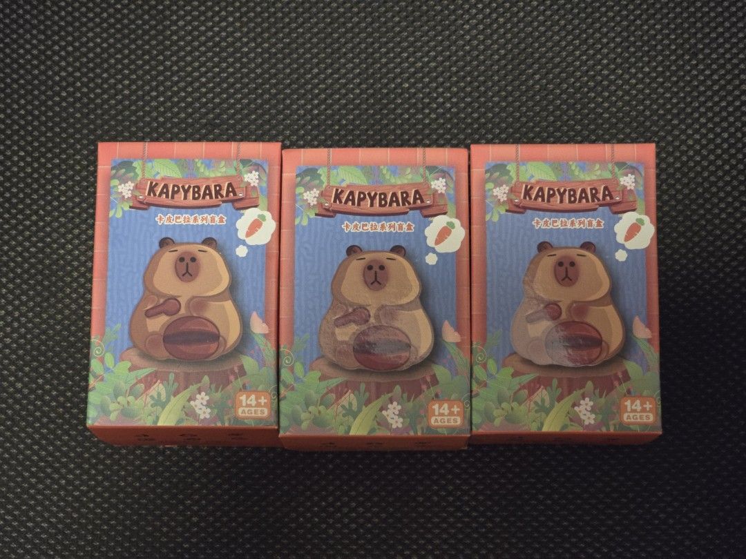 Kapybara Capybara Blind Box Figurine, Hobbies & Toys, Toys & Games on ...