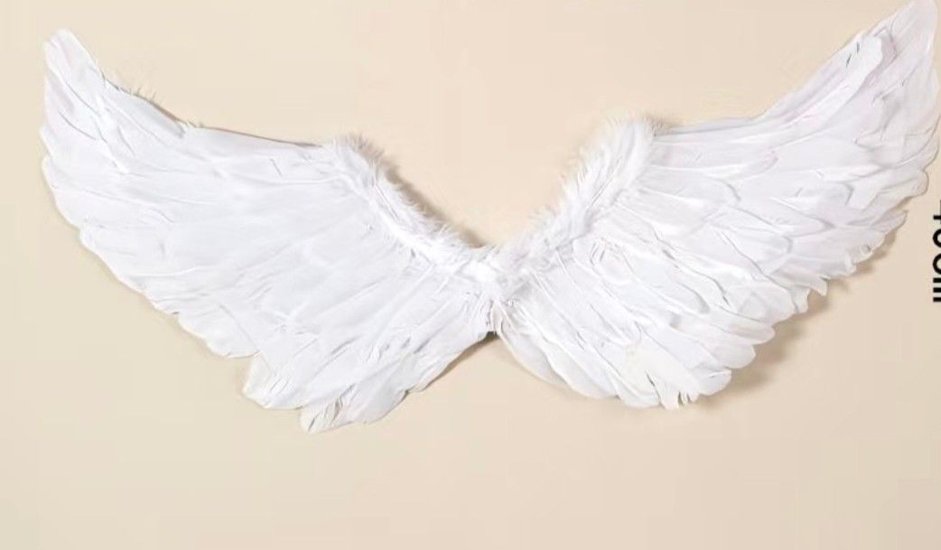 Light-Up Angel Wings, Crown, and Wand Set, Hobbies & Toys, Occasions ...