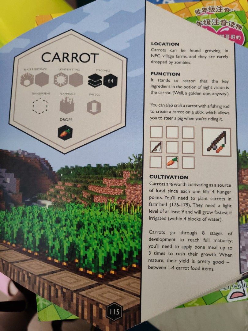 Minecraft Blockopedia Book, Video Gaming, Gaming Accessories, In-Game ...