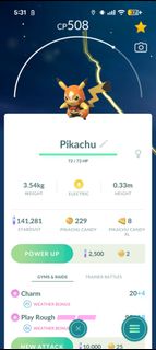 Pikachu Libre Fan Made, Hobbies & Toys, Toys & Games on Carousell