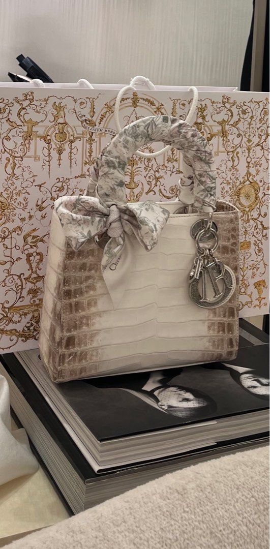 Dior Lady Himalaya Limited Edition with Receipts, Luxury, Bags ...