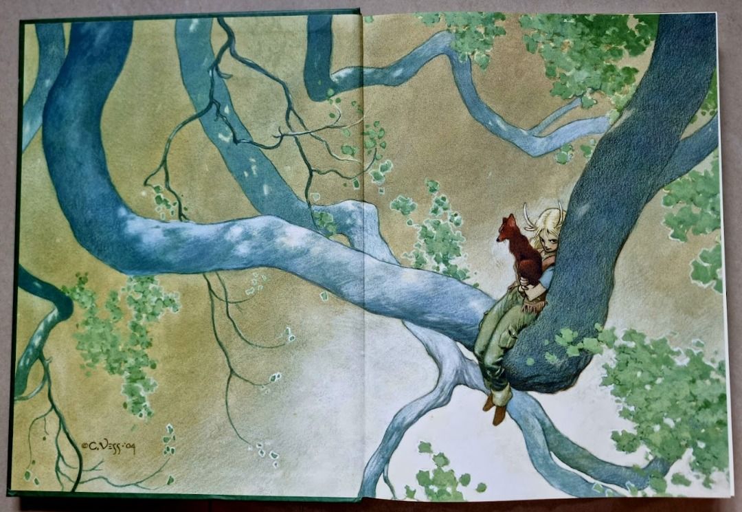 DRAWING DOWN THE MOON: the art of CHARLES VESS, Hobbies & Toys, Books ...