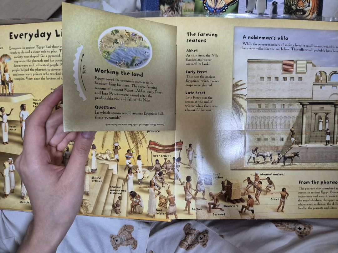 Ancient Egypt Pop-Up Book, Hobbies & Toys, Books & Magazines, Fiction ...