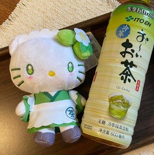 Authentic BN Sanrio Hello Kitty Japan Cherry Blossom Recycle Bag, Women ...