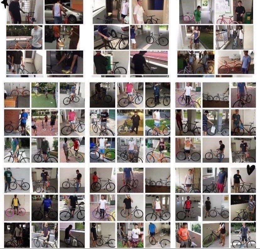 Cranston Fix. Cruz edition .2026. Fixie. Single Speed Bicycle. Road ...