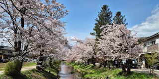 JAPAN HTB - TOKYO SAPPORO OSAKA spree, Announcements on Carousell