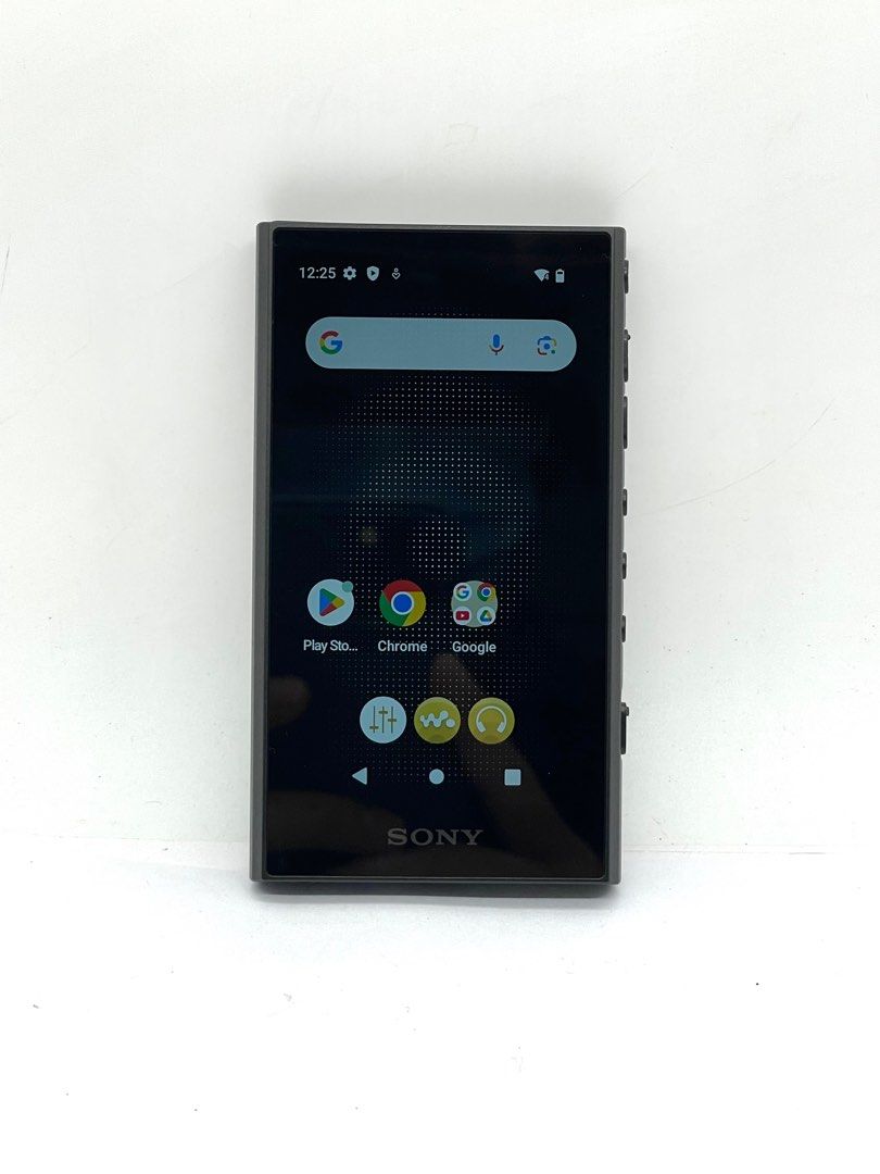 Sony Walkman NW-A306 Touchscreen MP3 Player - 32 GB, Audio, Portable ...