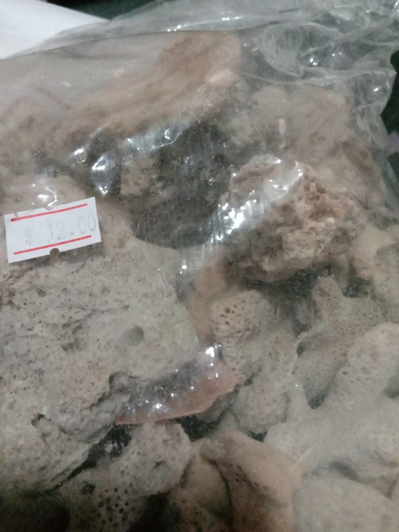 Aquarium Coral Rocks - Various Sizes, Pet Supplies, Homes & Other Pet ...