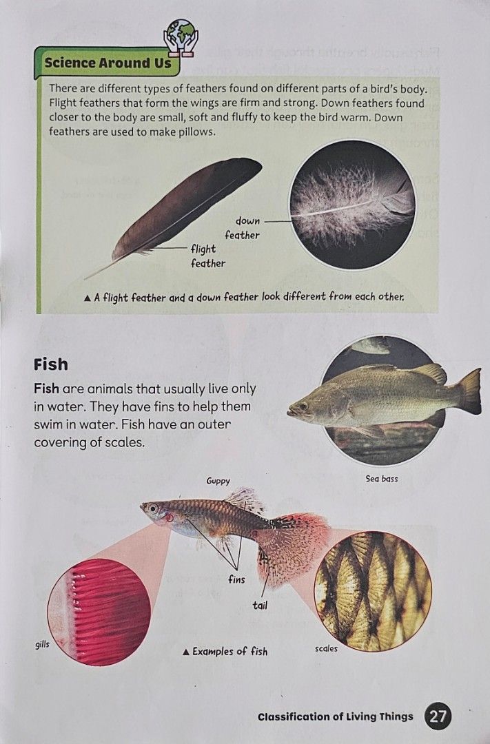 Inspiring Science Textbook Primary 3, Hobbies & Toys, Books & Magazines ...