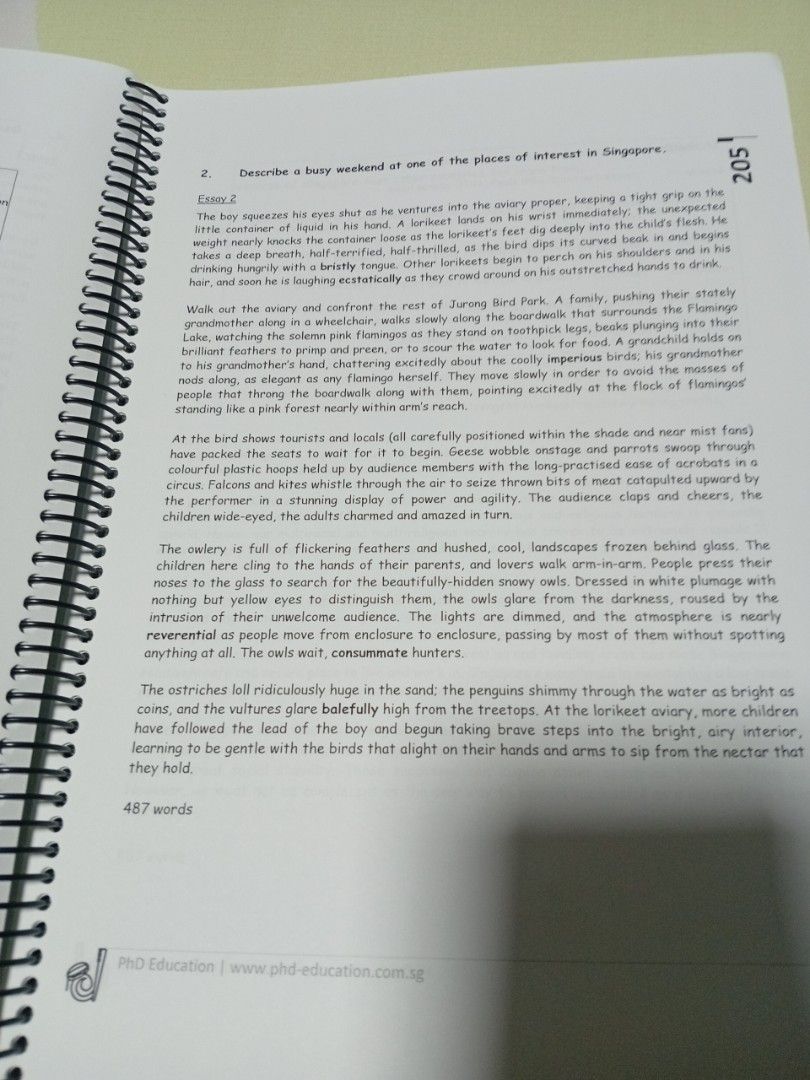 O Levels English Paper 1 Exam Package syllabus 1128, Hobbies & Toys ...
