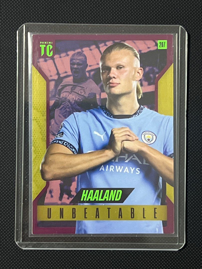 Panini Top Class 2025- Erling Haaland Royal Purple Parallel, Hobbies ...