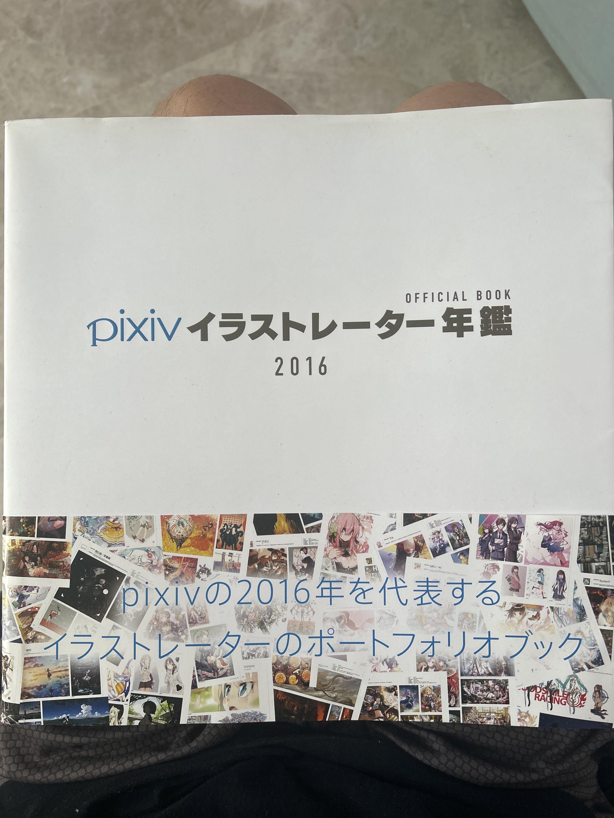 Pixiv Official Illustrator Artbook 2016, Hobbies & Toys, Books ...