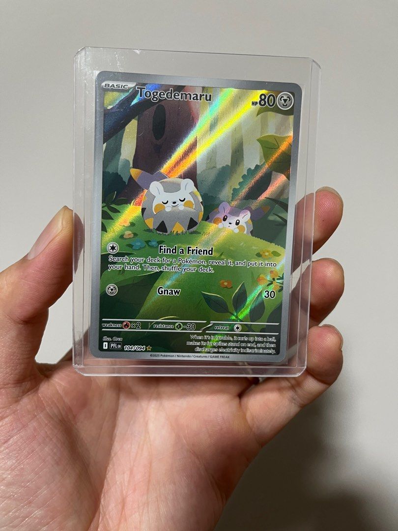 Pokemon tegedmaru IR PF #104, Hobbies & Toys, Toys & Games on Carousell