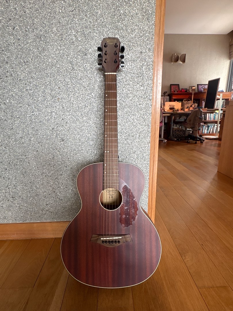 Protege Aspiring Maestro JR Acoustic Guitar, Hobbies & Toys, Musical ...