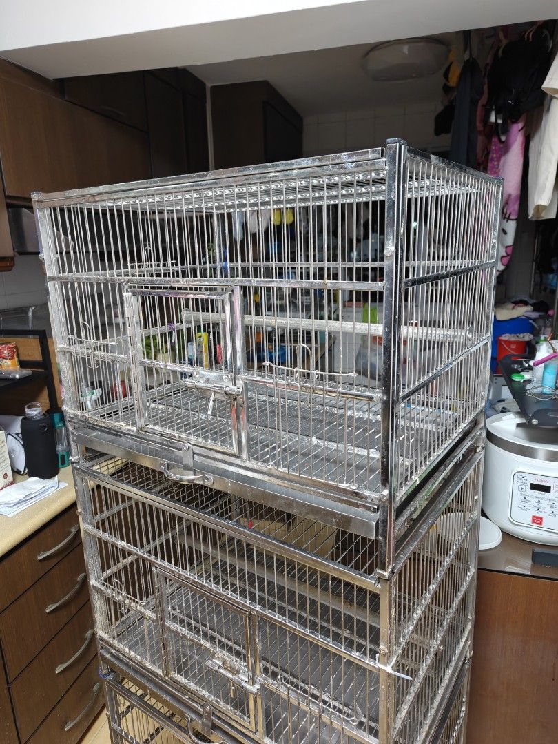 Stainless Steel Bird cages, Pet Supplies, Homes & Other Pet Accessories ...