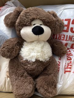 Koi barista bear, Hobbies & Toys, Toys & Games on Carousell
