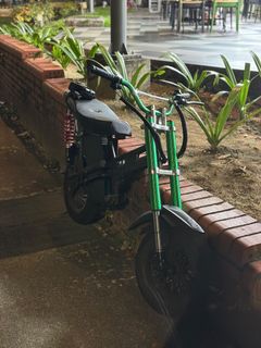 Custom Electric Bike with Delivery Bag, Sports Equipment, PMDs, E ...