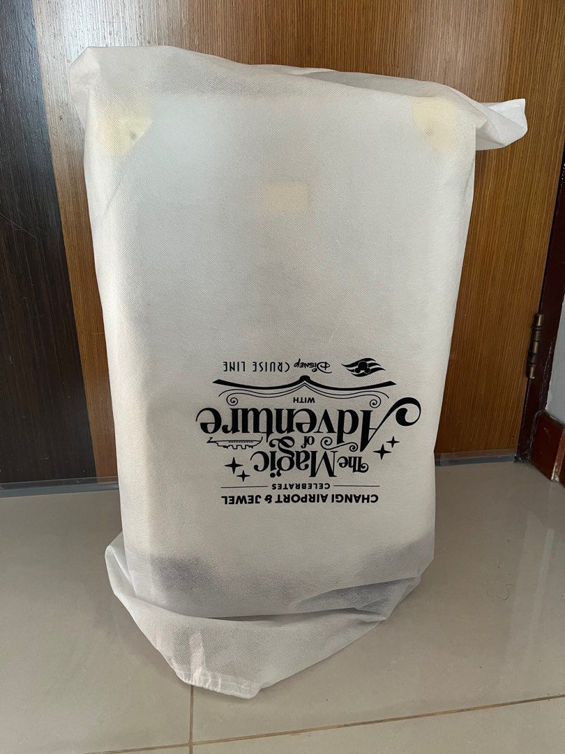 Disney Cruise Line Mickey Suitcase, Hobbies & Toys, Travel, Luggage on ...