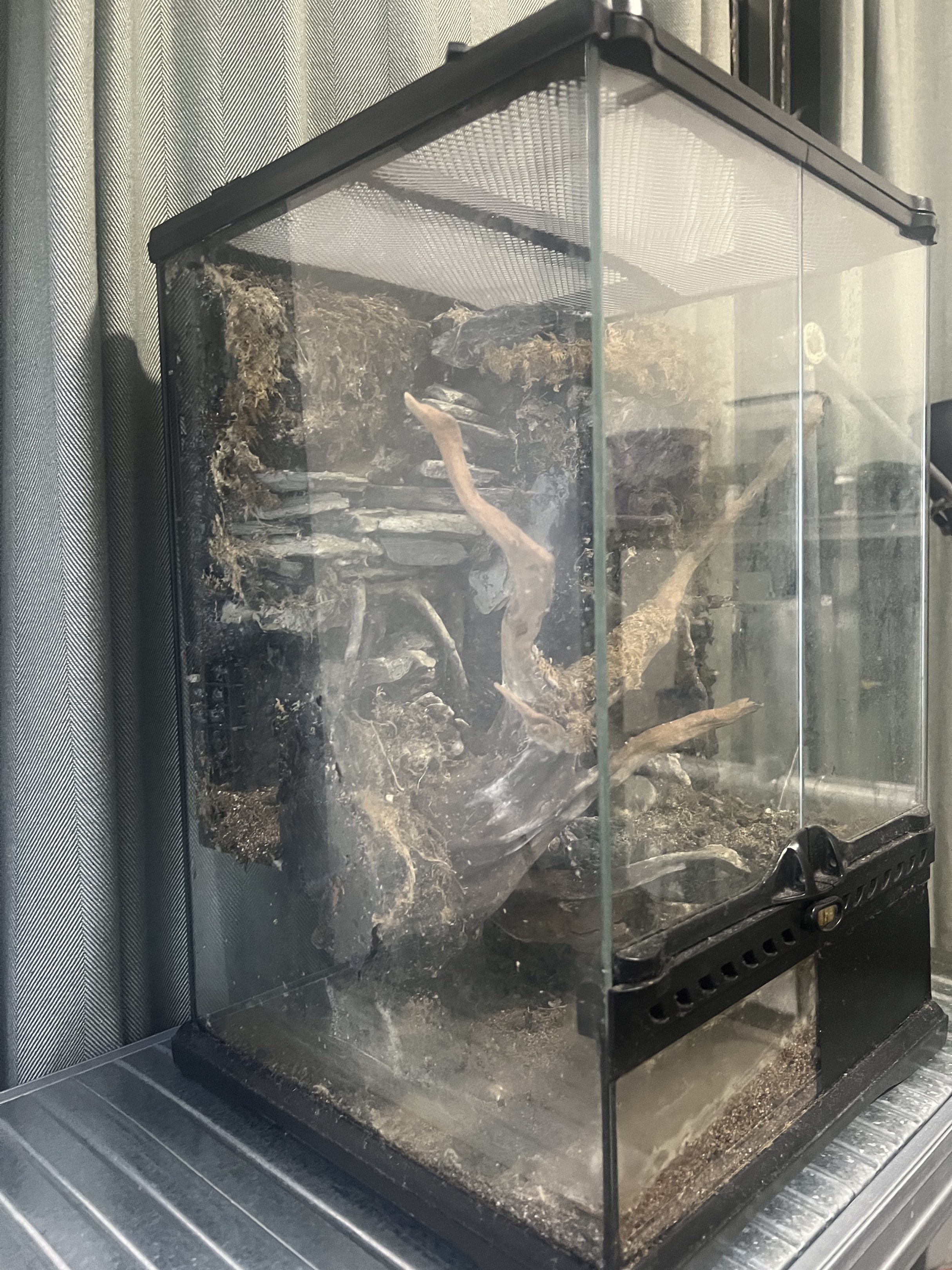 Exo Terra Terrarium with Built-in Waterfall filtration, Pet Supplies ...