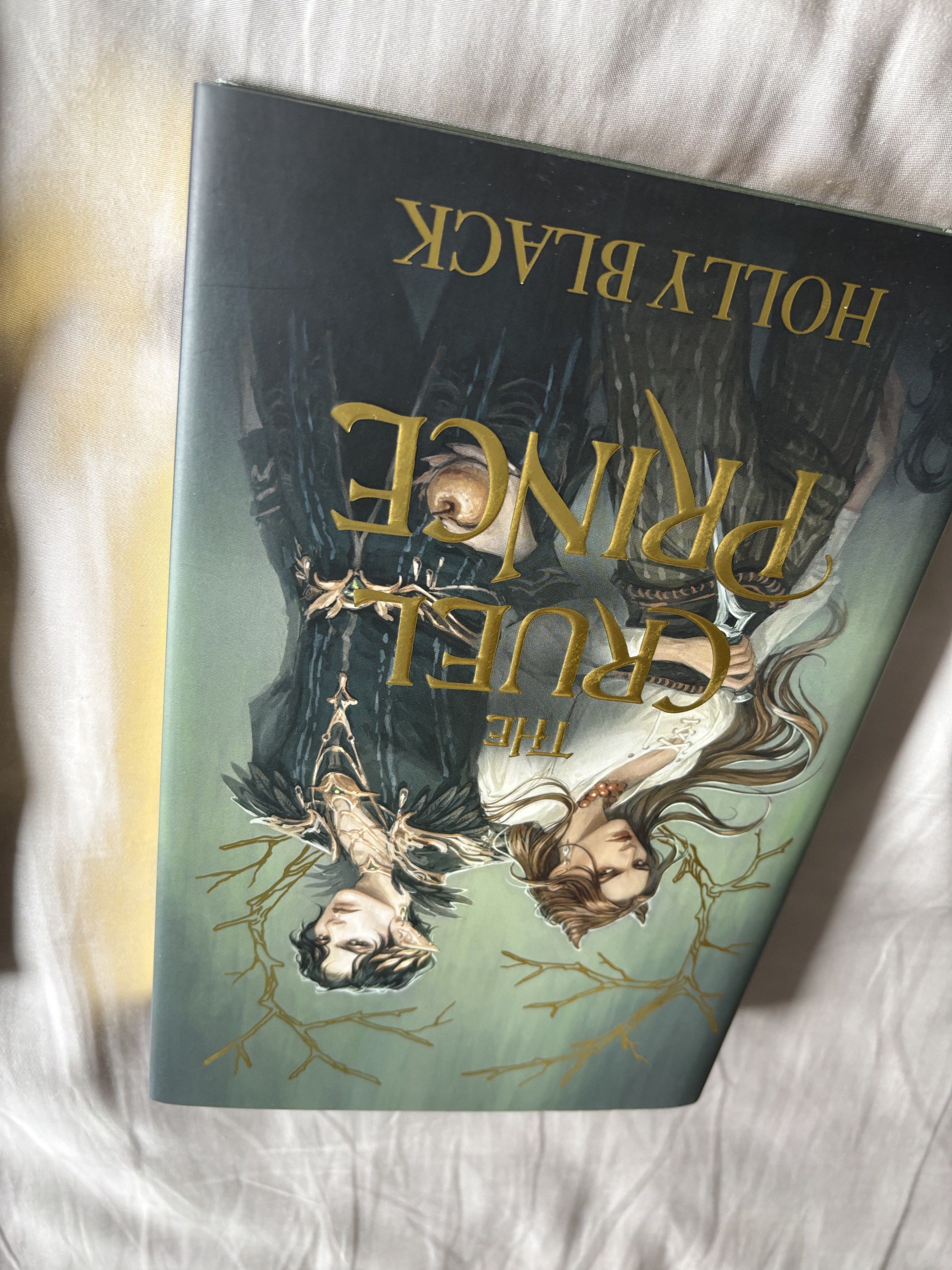 Fairyloot The Folk of the Air Series by Holly Black the cruel prince ...