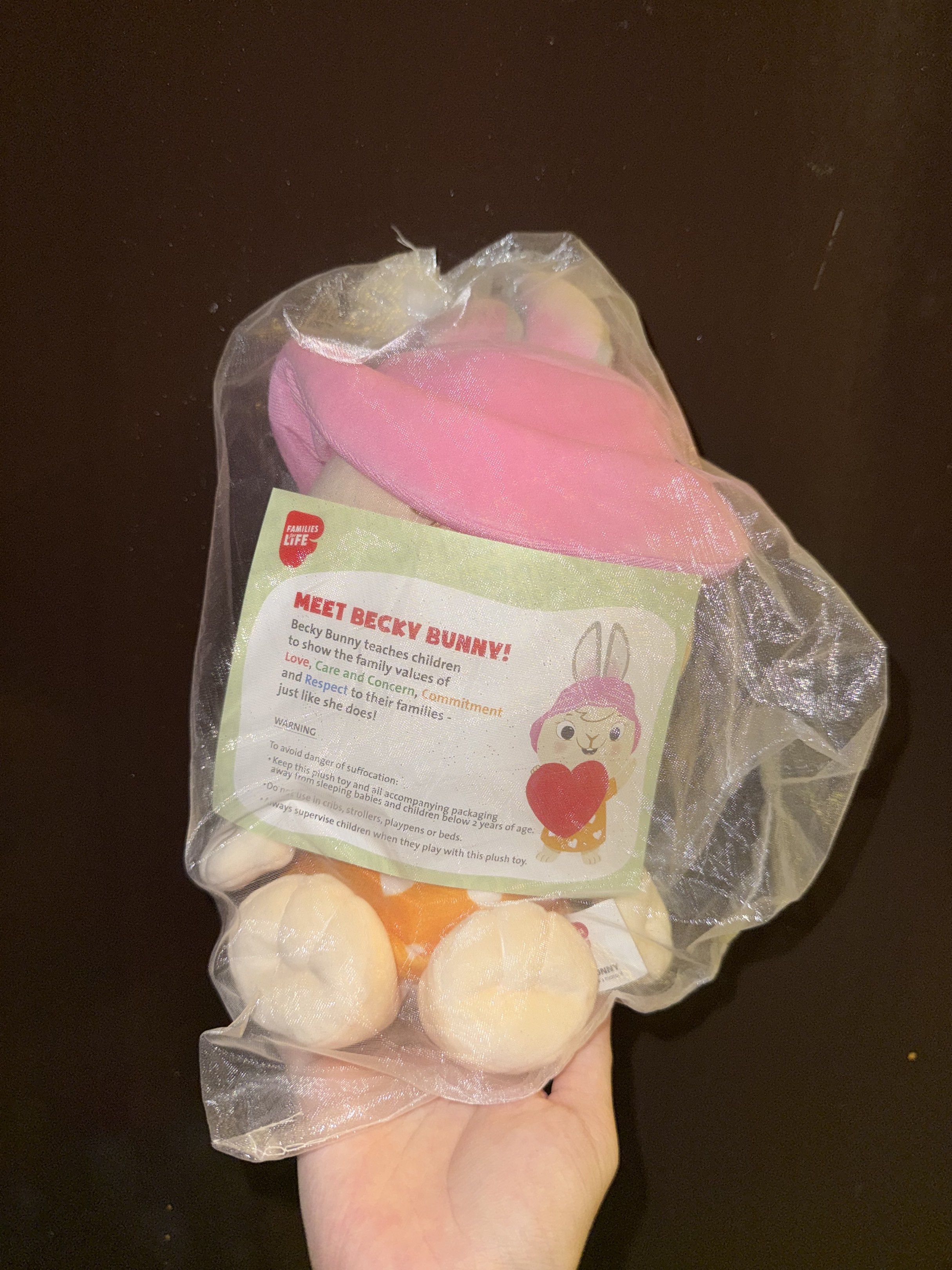 Family Life Becky Bunny Plush Toy, Hobbies & Toys, Toys & Games on ...