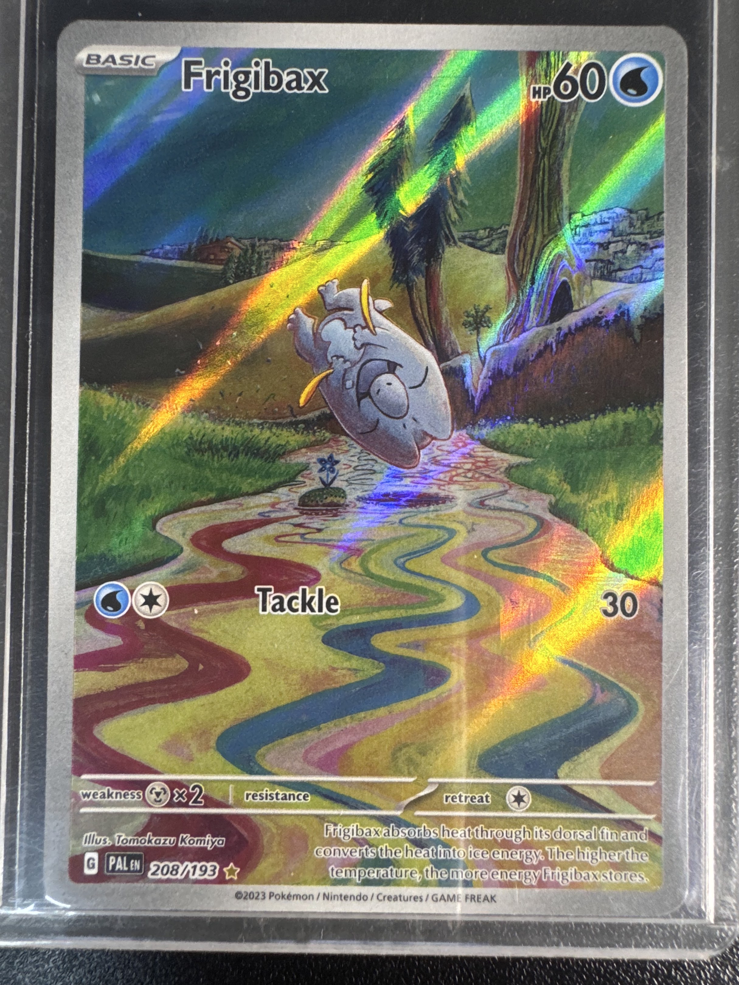 Frigibax IR Paldea Evolved Pokemon, Hobbies & Toys, Toys & Games on ...