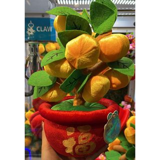 1979 Malawi MS Tree planting day, Hobbies & Toys, Memorabilia ...