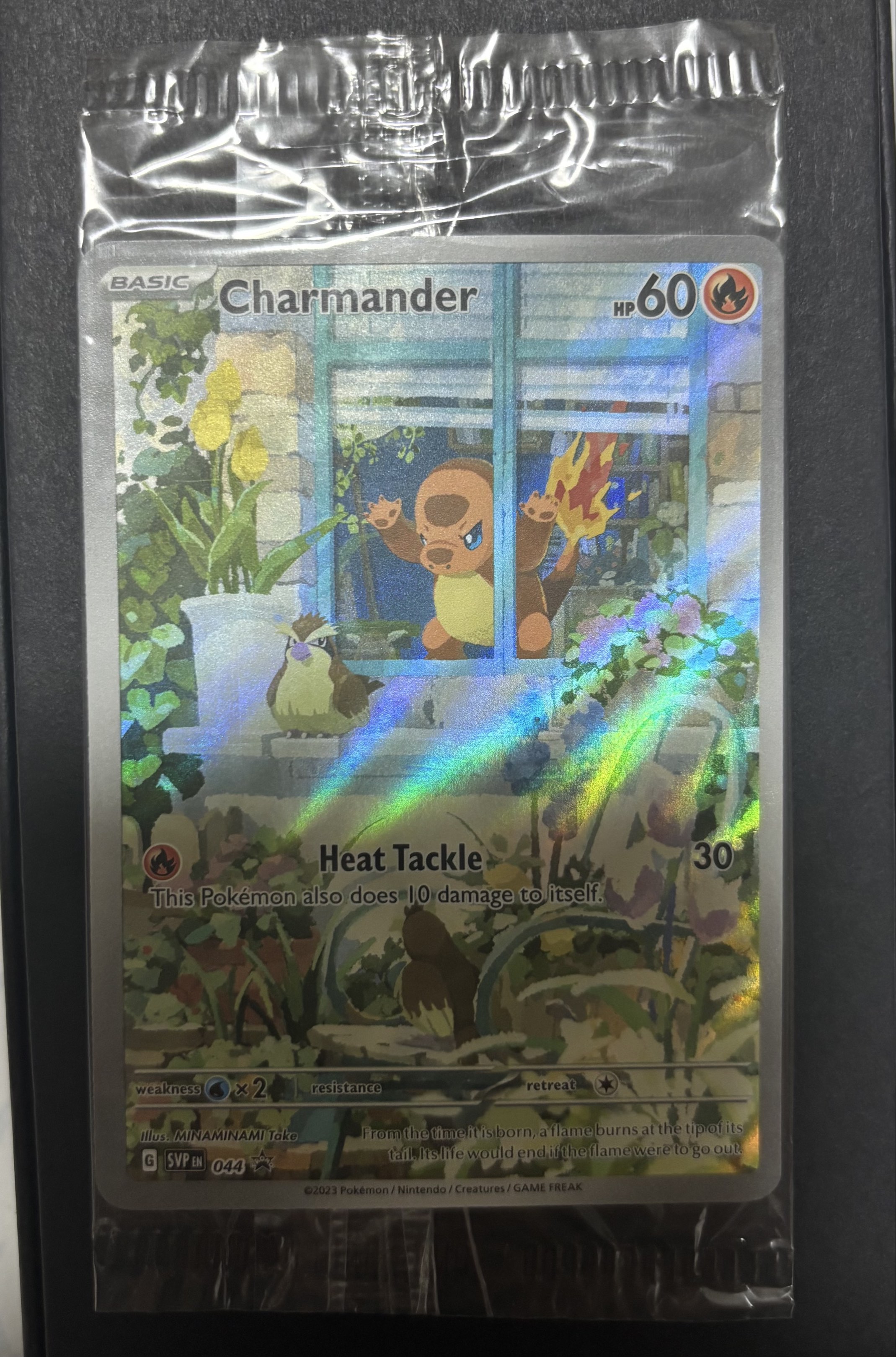 Pokemon Obsidian Flame ETB Charmander promo card, Hobbies & Toys, Toys ...