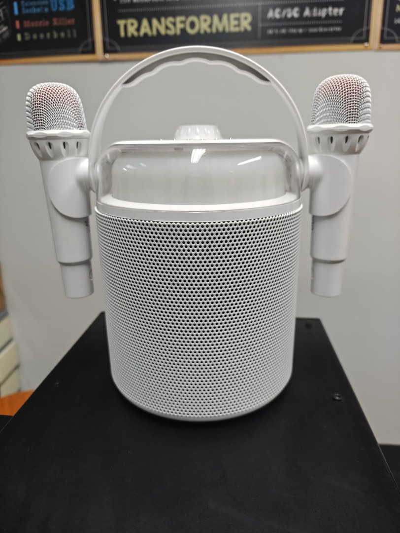 Portable Karaoke Speaker with Microphones, Audio, Soundbars, Speakers ...