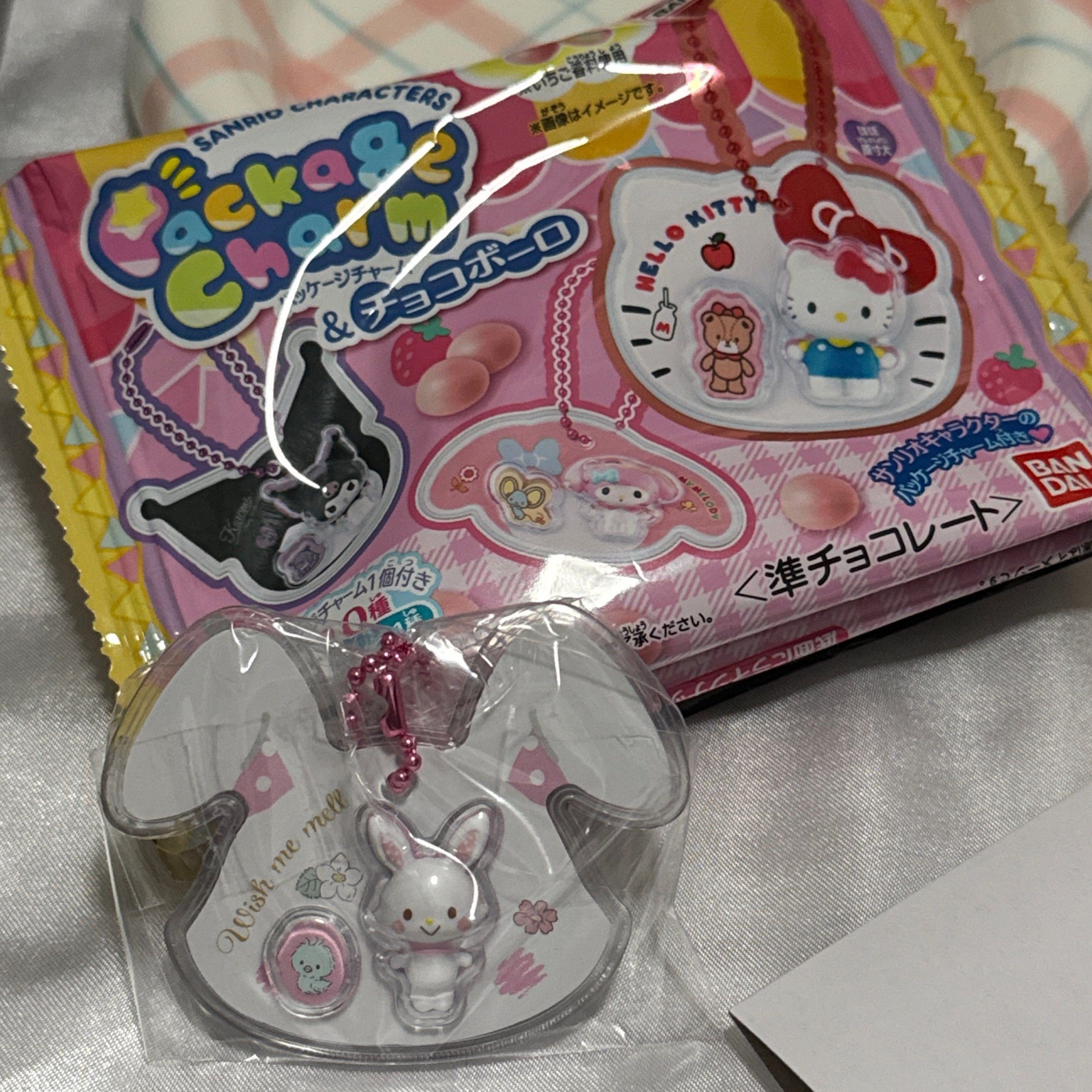 sanrio package keycharm, Hobbies & Toys, Memorabilia & Collectibles, K ...